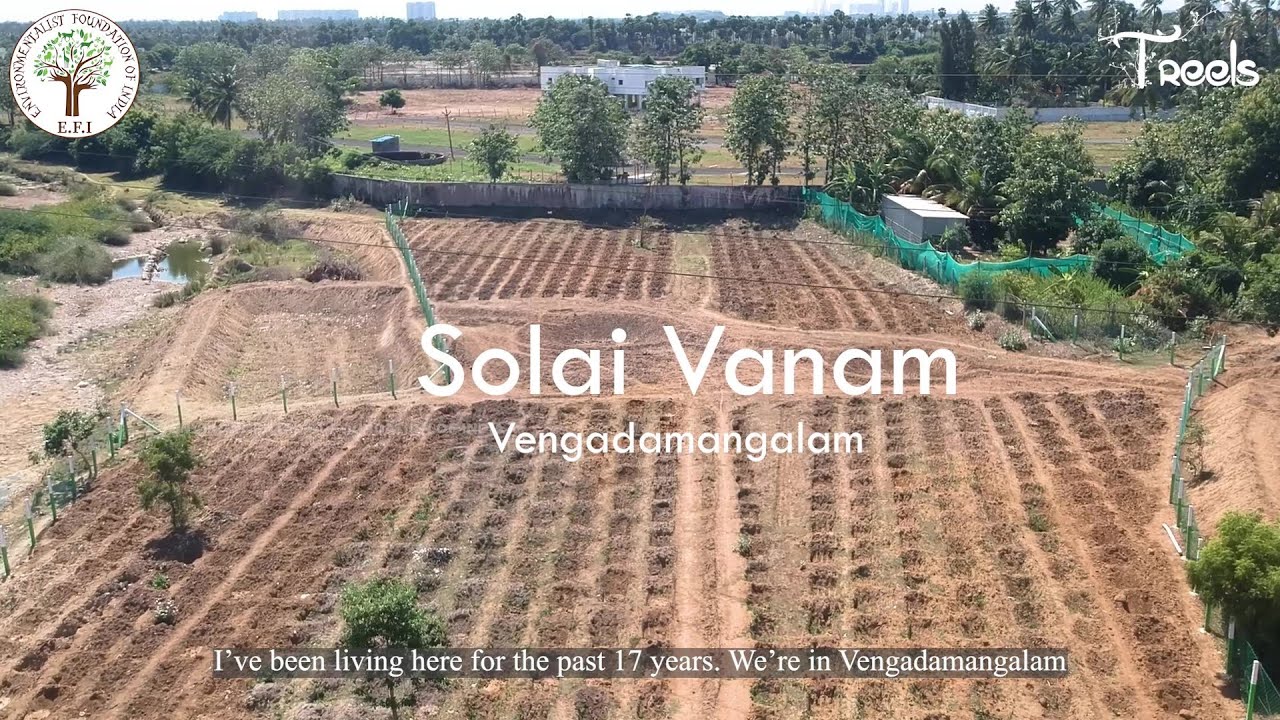 Solai Vanam | Treels by E.F.I | ForesTREE - YouTube