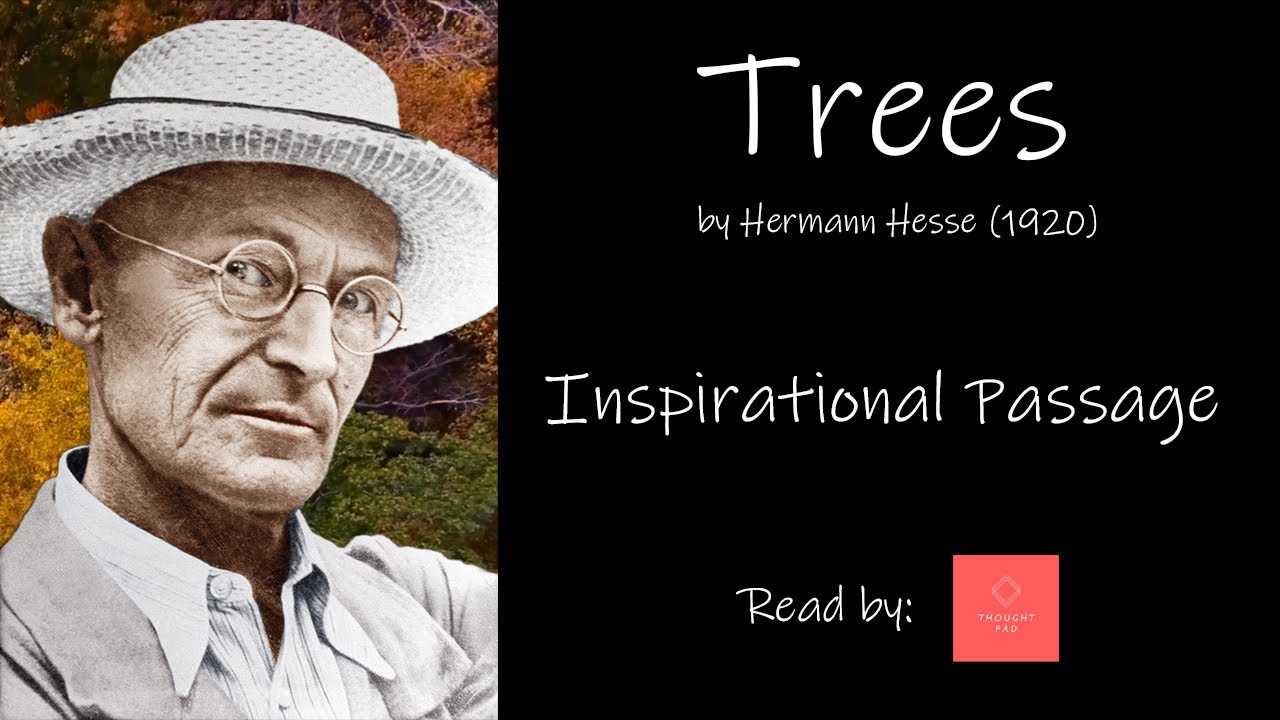 Trees by Hermann Hesse (Powerful Inspirational Video) - YouTube