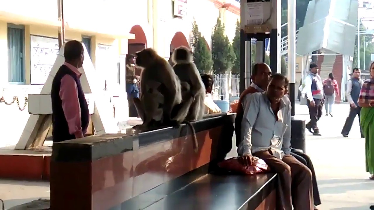 Mayapur Nabadwip Dham Railway Station - YouTube