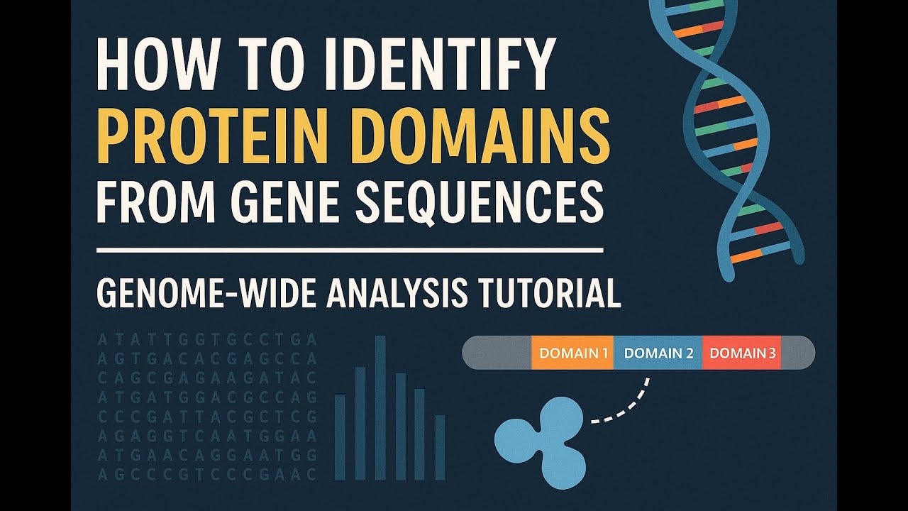 How to Identify Protein Domains from Gene Protein Sequences | Genome ...