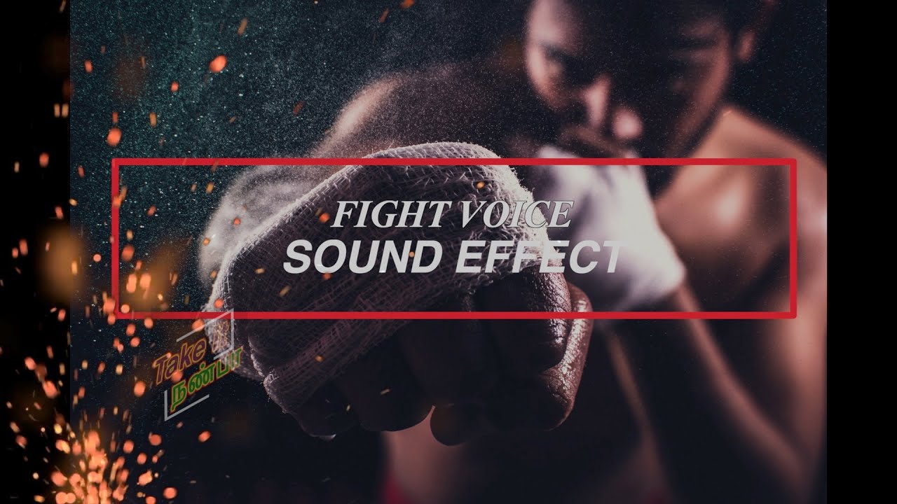 Fight Voice Sounds | Male Fight Sound Effects | Fight Voice Over ...