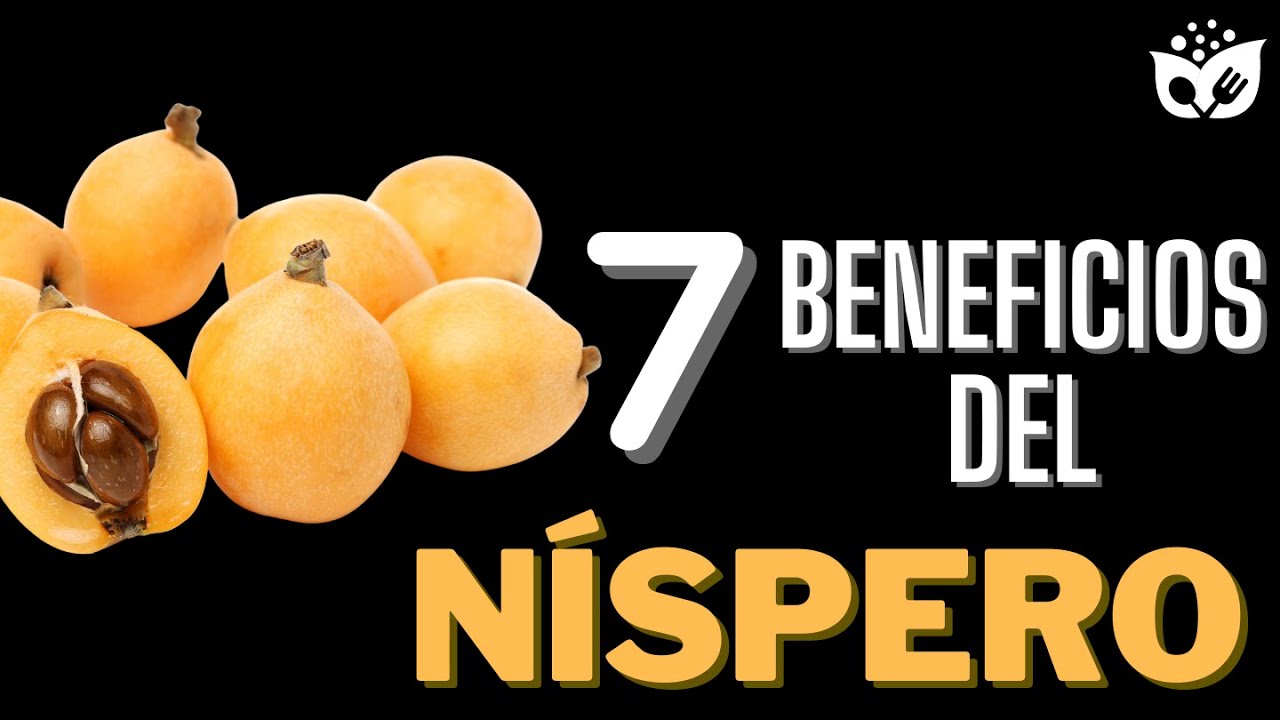 🌟 Los 7 Increíbles Beneficios del NÍSPERO para Tu Salud que Debes ...