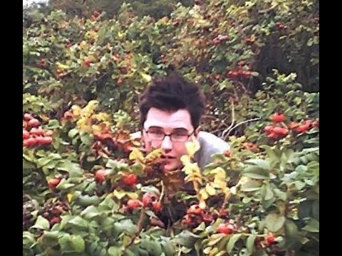 Wisp / Denizen – Quest For Excalipur (SPLIT) - YouTube