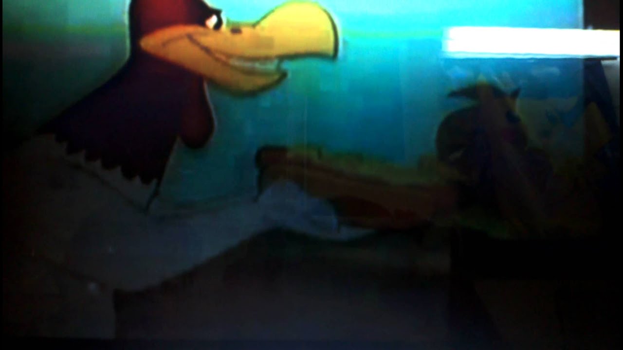Chicken Hawk Rap - YouTube