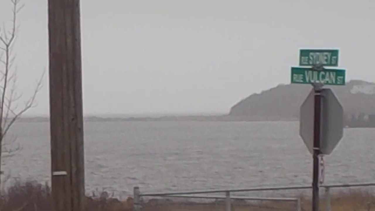 Raven hunting a pigeon Nov 12 2019 - YouTube