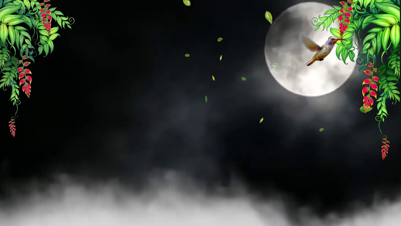 Background Video template/Background Video Effects hd/Template Video ...