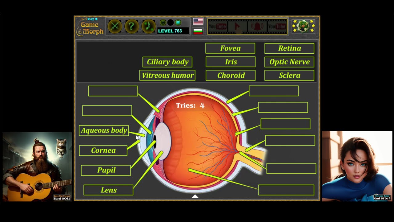 Eye Anatomy Game How To Play Eye Found It Disney Board Game | Fun