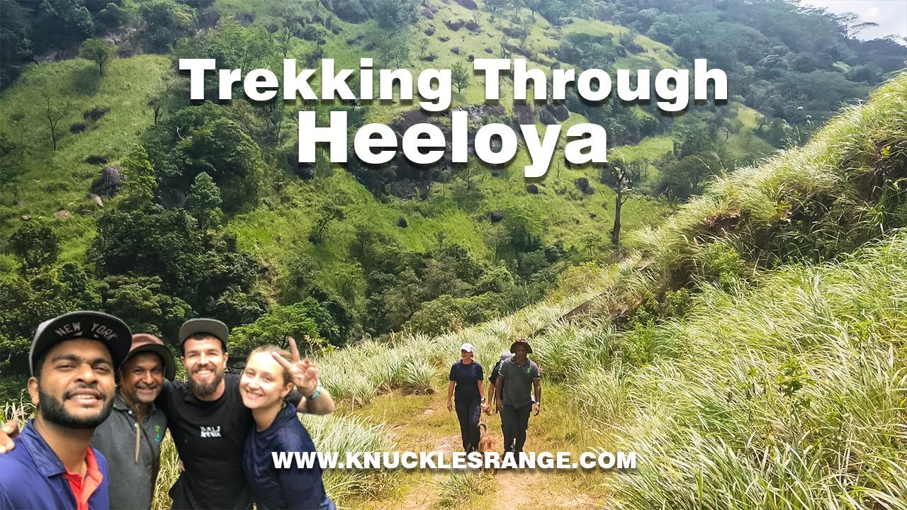 Trekking through Heeloya traditional village | Trekking in knuckles ...