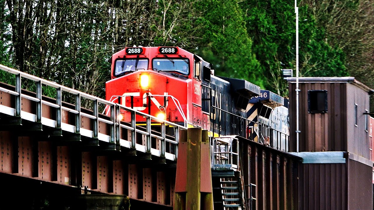 Wildlife And CN Double Stack Train Over Harrison Mills Interlocking ...