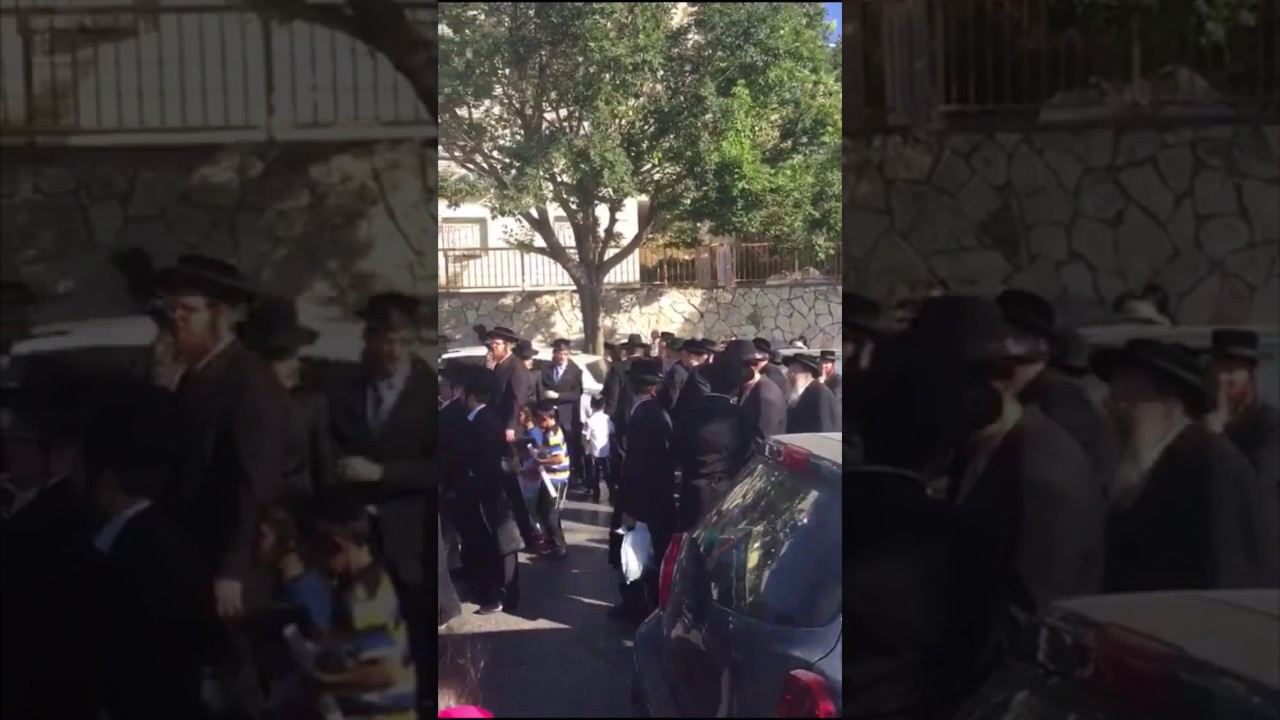 Stoliner Rebbe @ Hachnosas Sefer Torah - YouTube