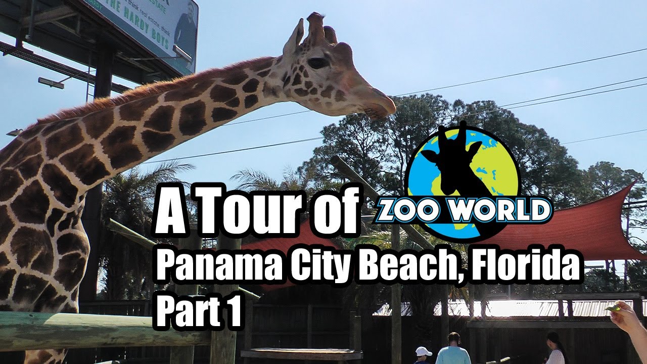 Touring ZOO WORLD In Panama City Beach, Florida (Part 1) 🐢🌴 - YouTube