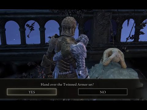 [Elden Ring] What if You Give Twinned Armor to D while it is Equipped ...