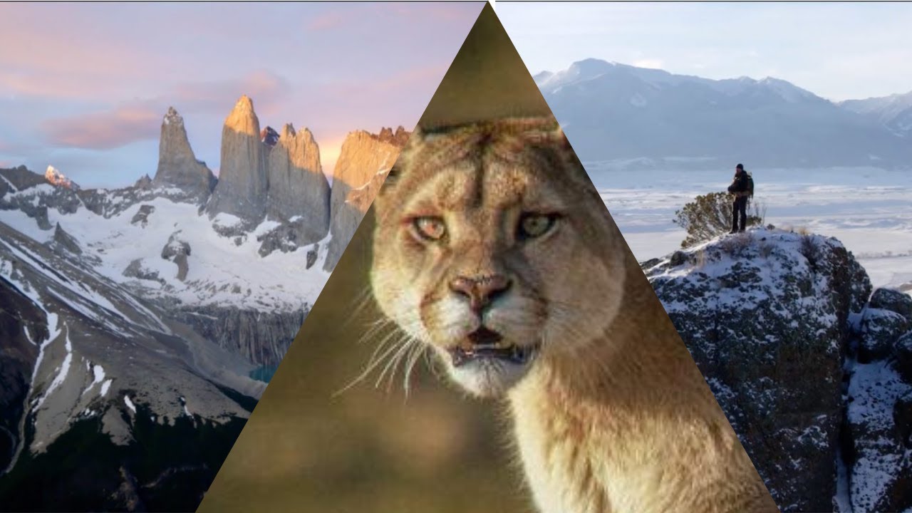 Into the Puma Triangle subtitulada - YouTube