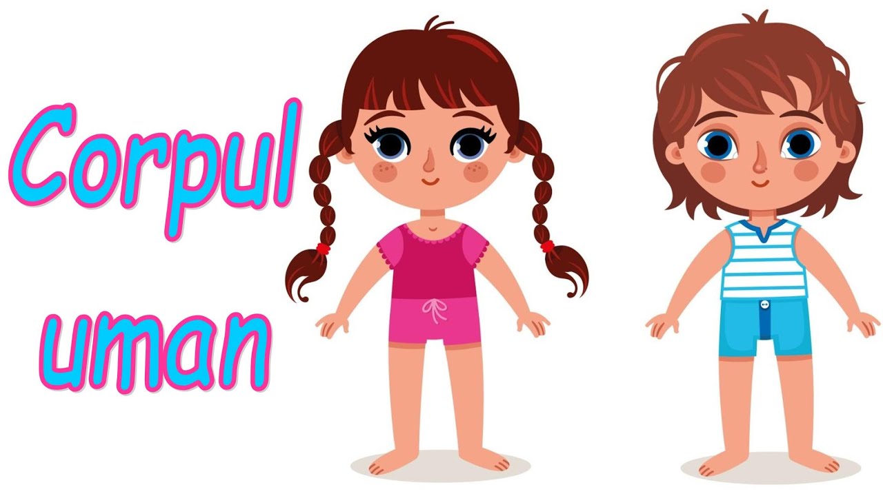 Corpul uman - prezentare generală | Corpul omului pe înțelesul copiilor ...