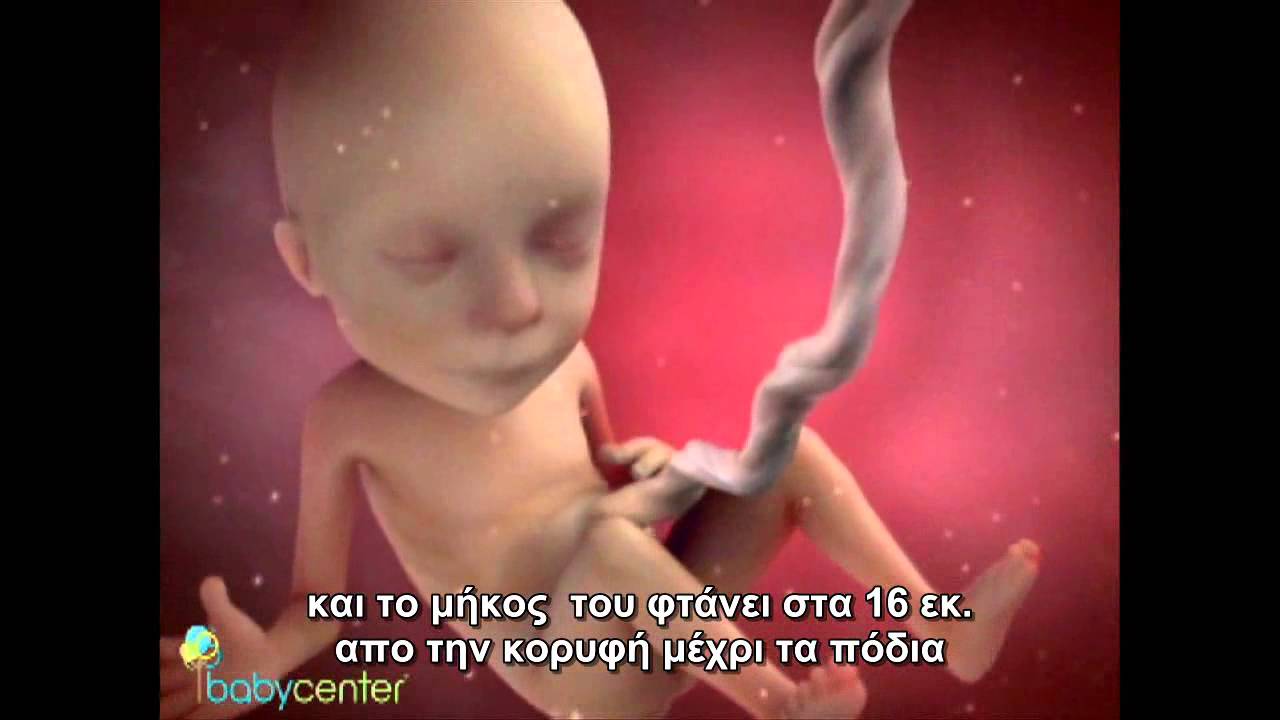 ΤΟ ΘΑΥΜΑ ΤΗΣ ΚΥΗΣΗΣ - YouTube