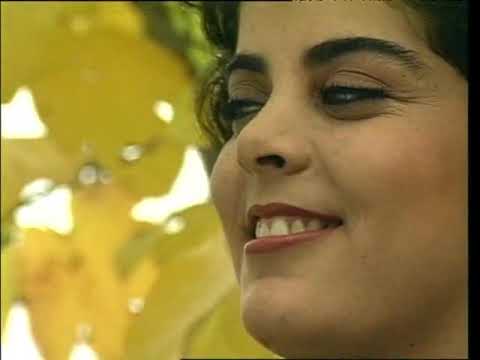 Ergün Efe - Devrildim Ansızın(Klip)1997