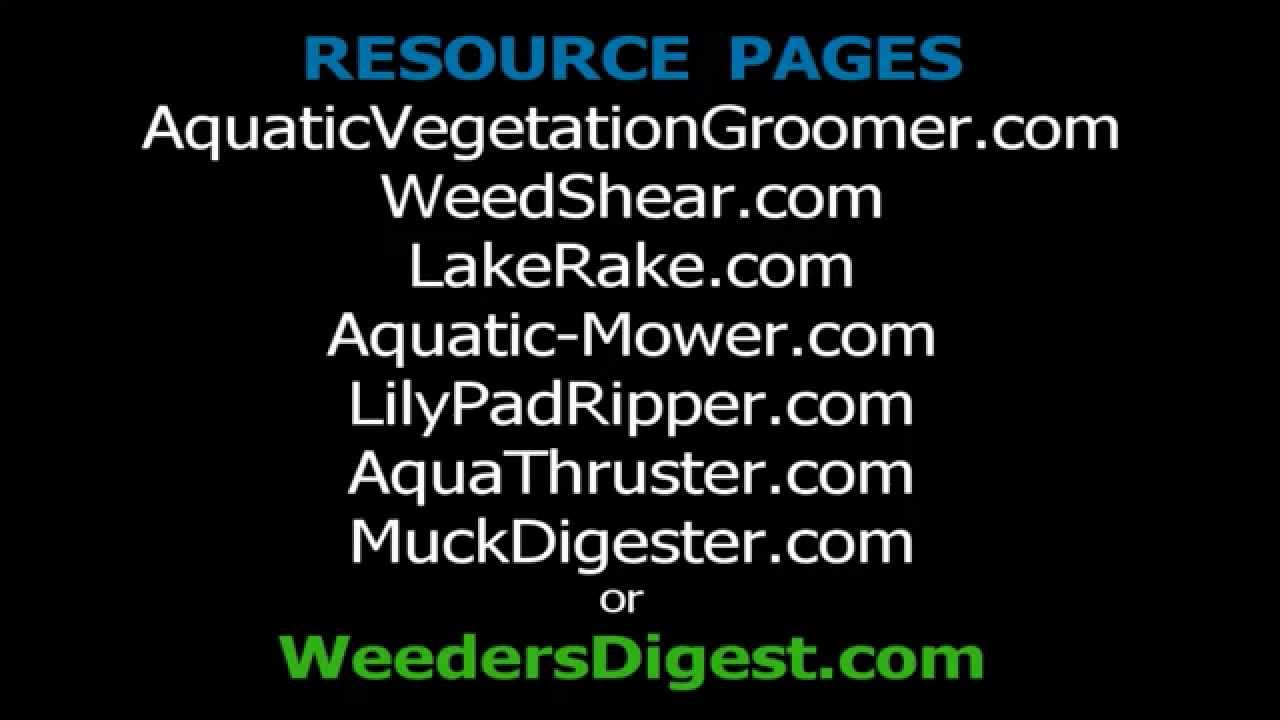 How Clean a Pond of Weeds and Algae from Weeders Digest - YouTube