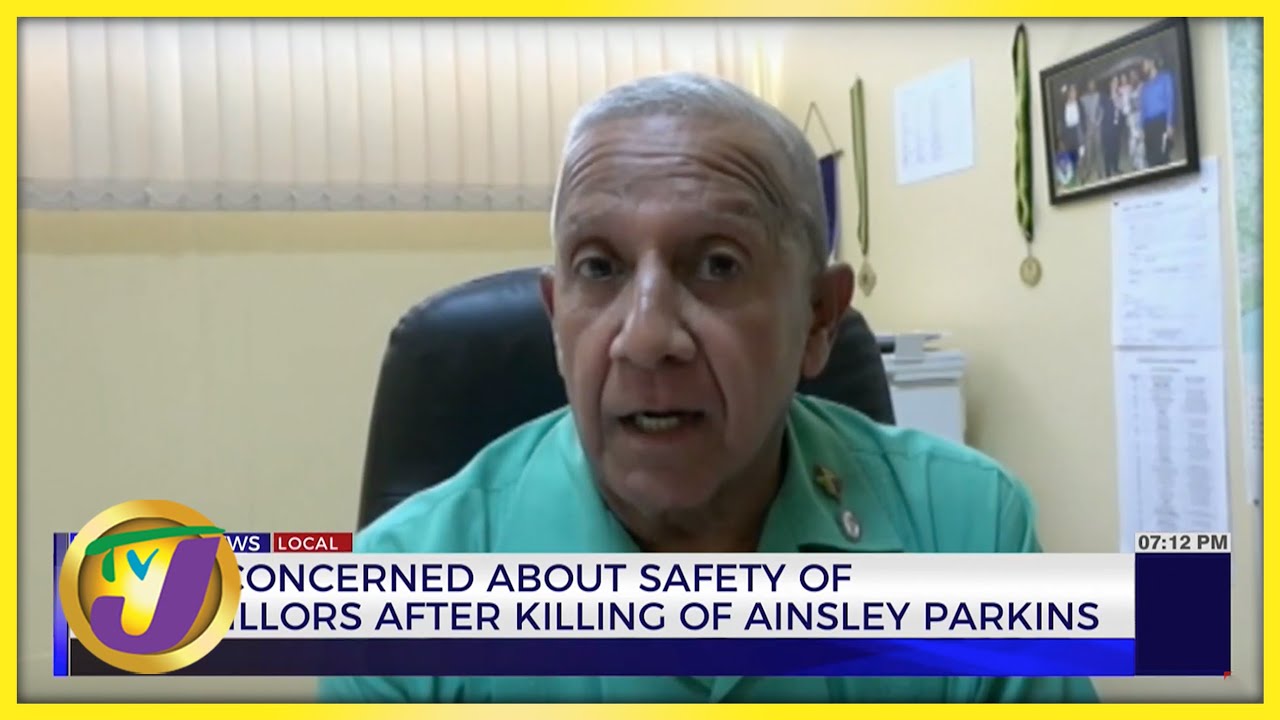 Concerns About Safety of Councillors After Killing of Ainsley Parkins ...