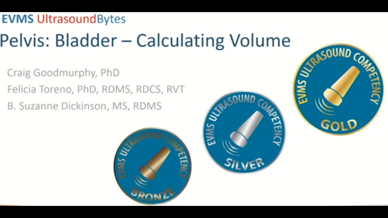 UltrasoundBytes Pelvis Bladder Calculating Volume - YouTube
