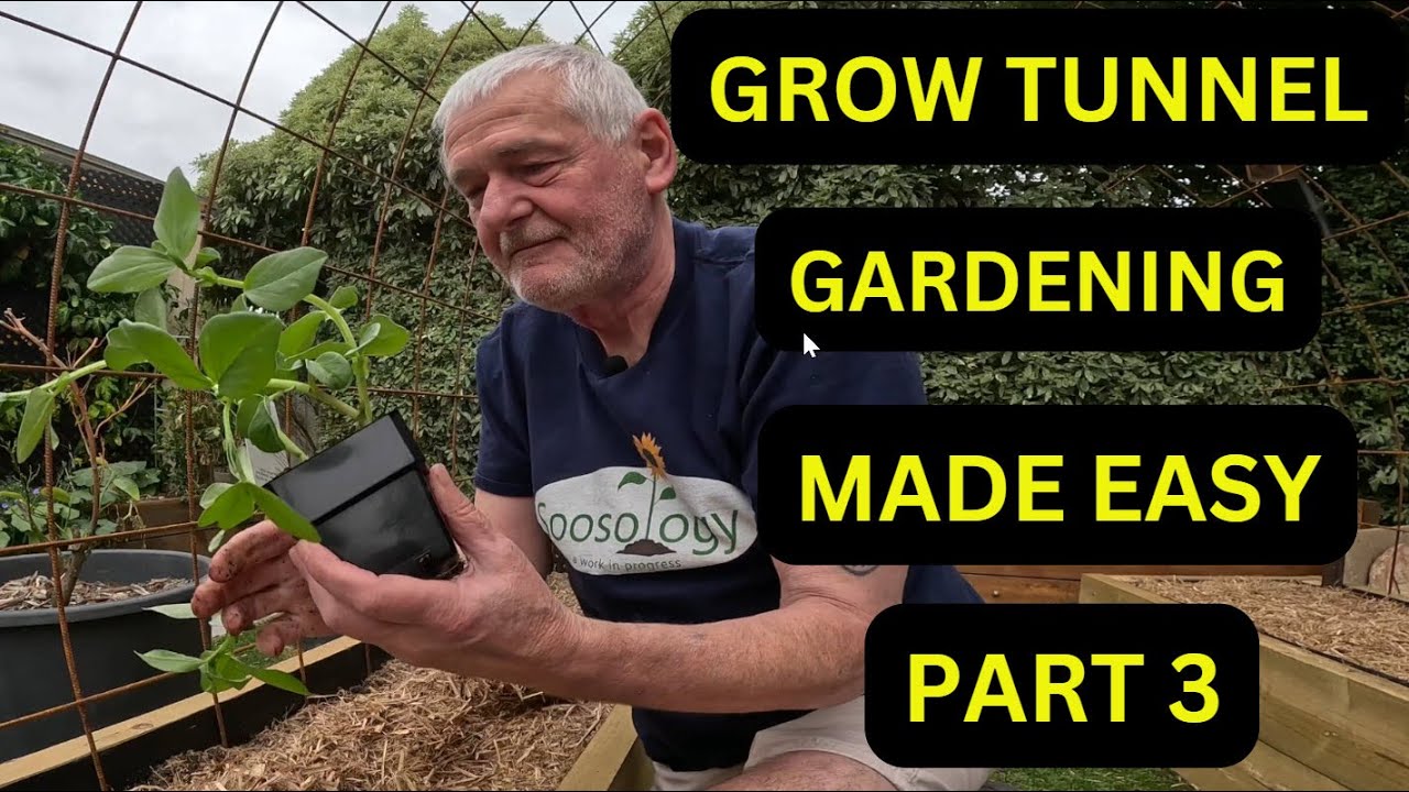 Step-by-Step Guide to Planting Out Your Grow Tunnel - YouTube