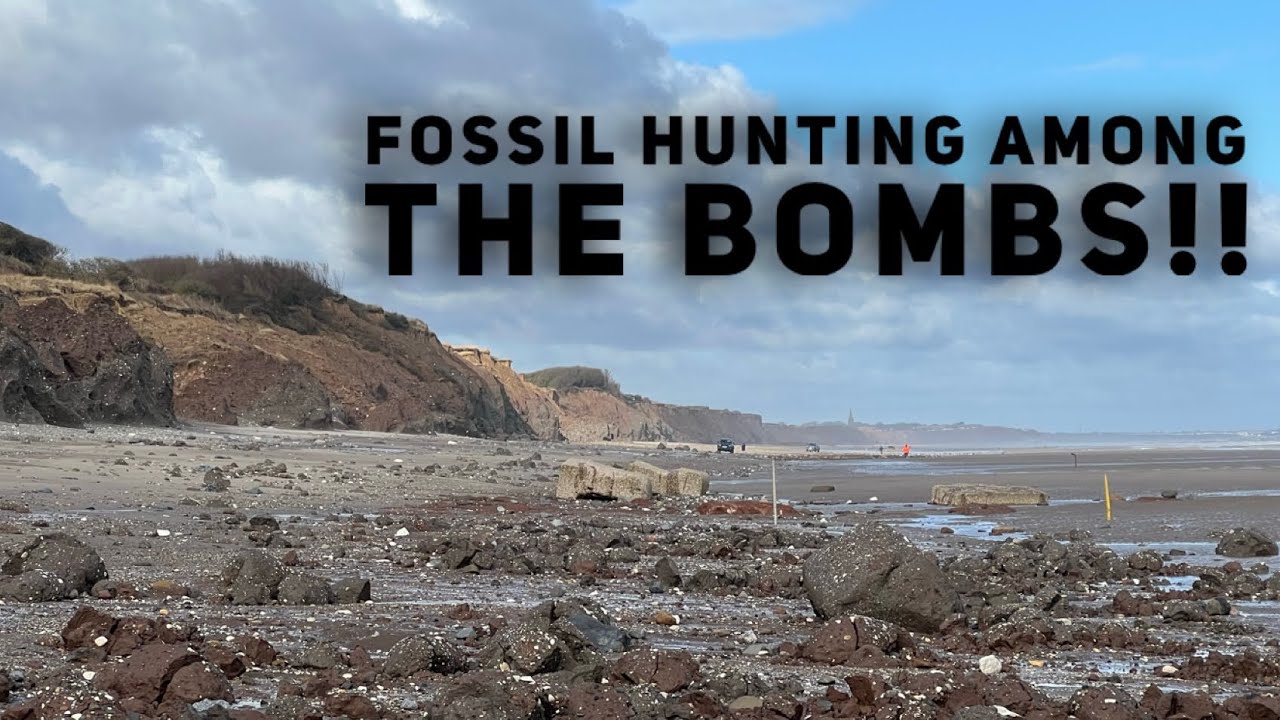 Fossil hunting on the Yorkshire Holderness Coast for Jurassic Ammonites ...
