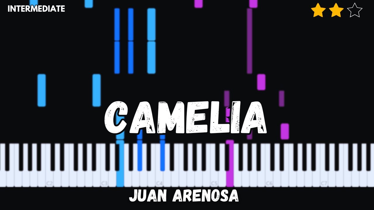 Juan Arenosa-Camelia (Piano Tutorial) - YouTube