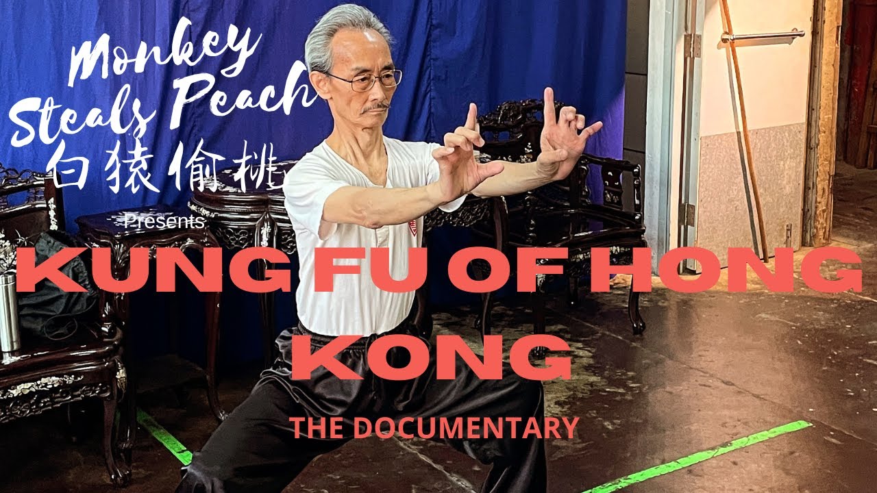 The Iron Wire Fist of Hung Gar - Kung Fu of Hong Kong ep2 - YouTube