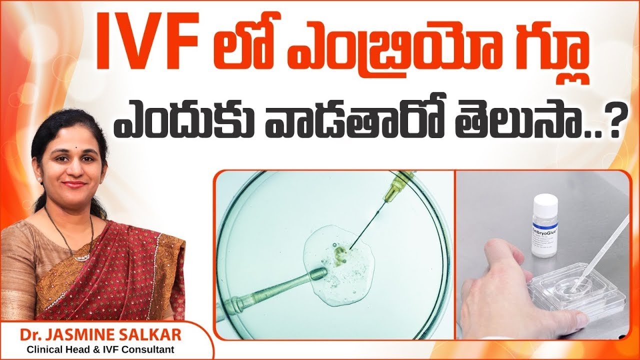 Embryo Glue: What It Is & How It Boosts IVF Success Rates | What Is ...