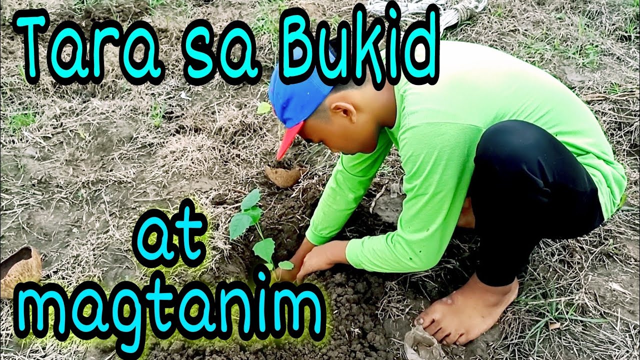 #Tree_Planting ng G-Milena || Tara sa Bukid - YouTube
