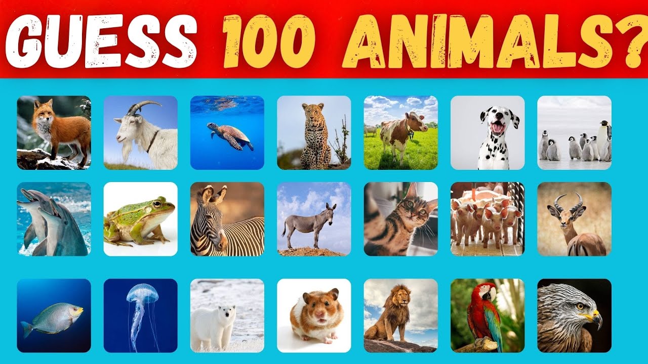 Guess The Animals In 3 Seconds | 100 Most Famous Animals In The World ...