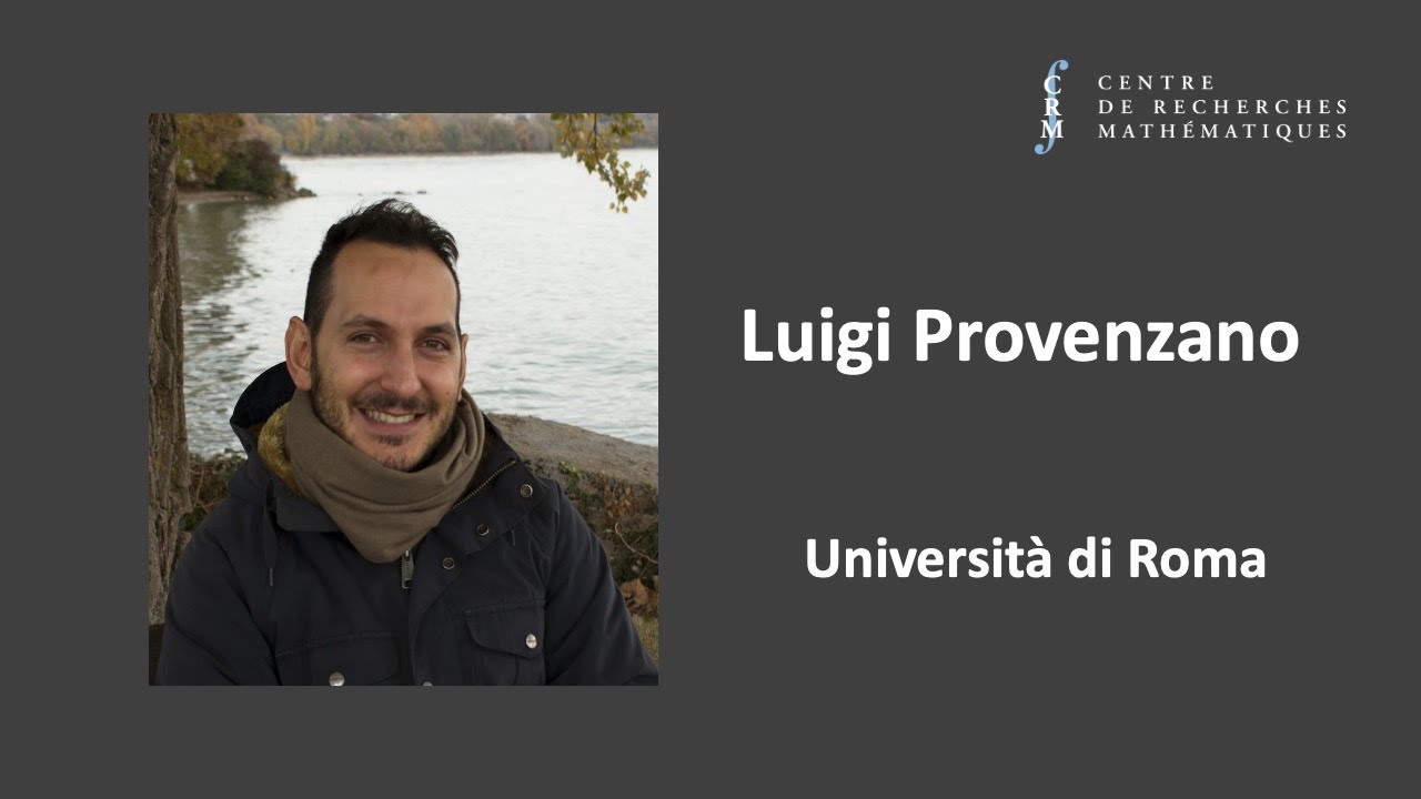 Luigi Provenzano: On the critical points of Steklov eigenfunctions ...