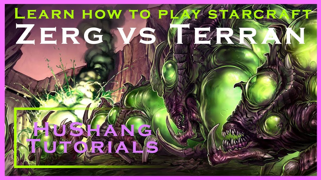 Zerg vs Terran | Beginner Build Order - YouTube