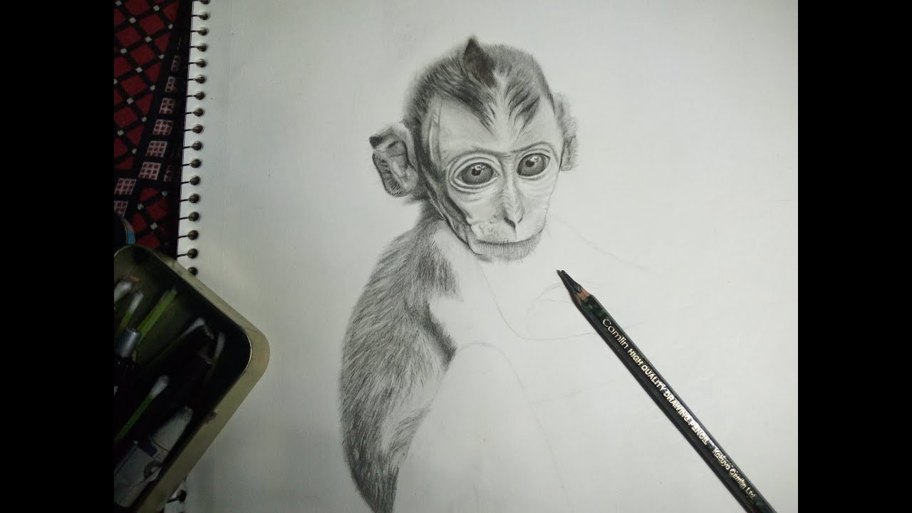 How to Draw a Monkey||Timelapse video part 1 - YouTube