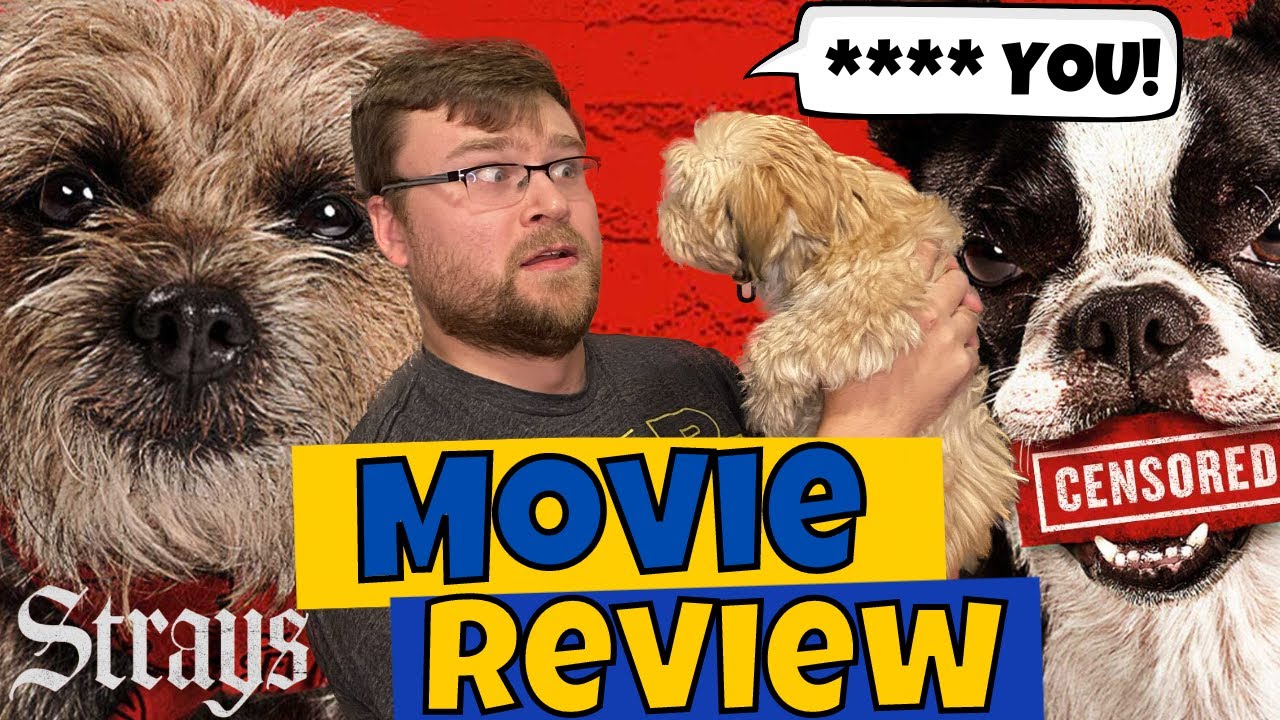 Strays - Movie Review - YouTube