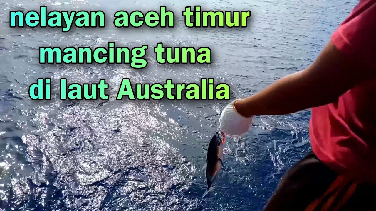 Mancing Tuna Di Laut Lepas Dengan Teknik Seret Kail Pancing | Km ...