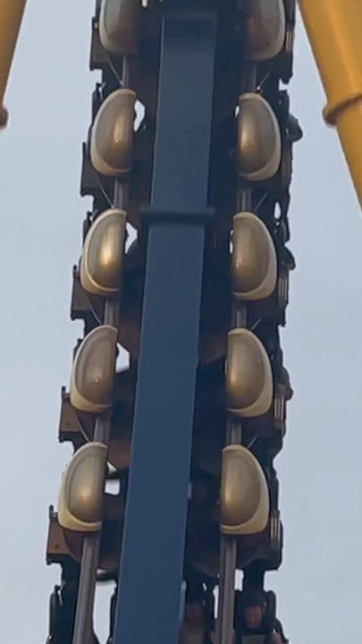 Montu roaring through its first vertical loop. #rollercoaster #shorts ...