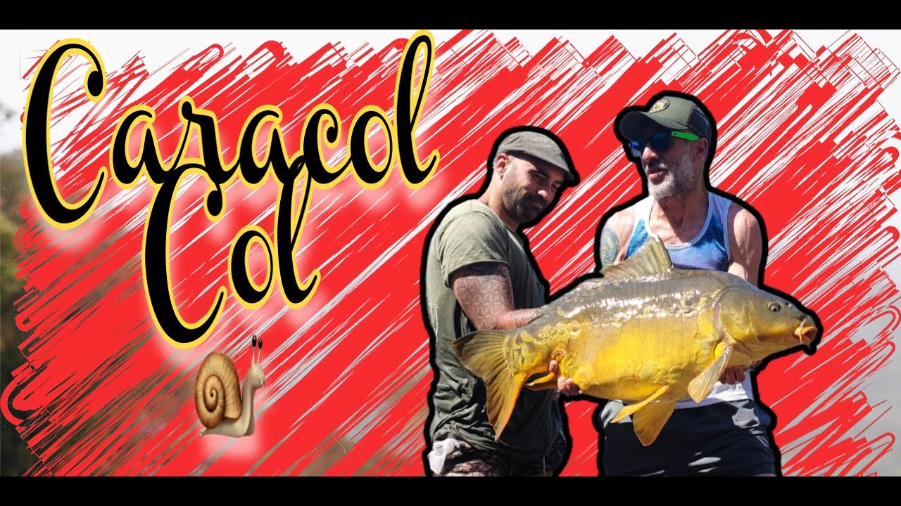 CARPFISHING (SNAIL FISHING) Caracol col col. - YouTube