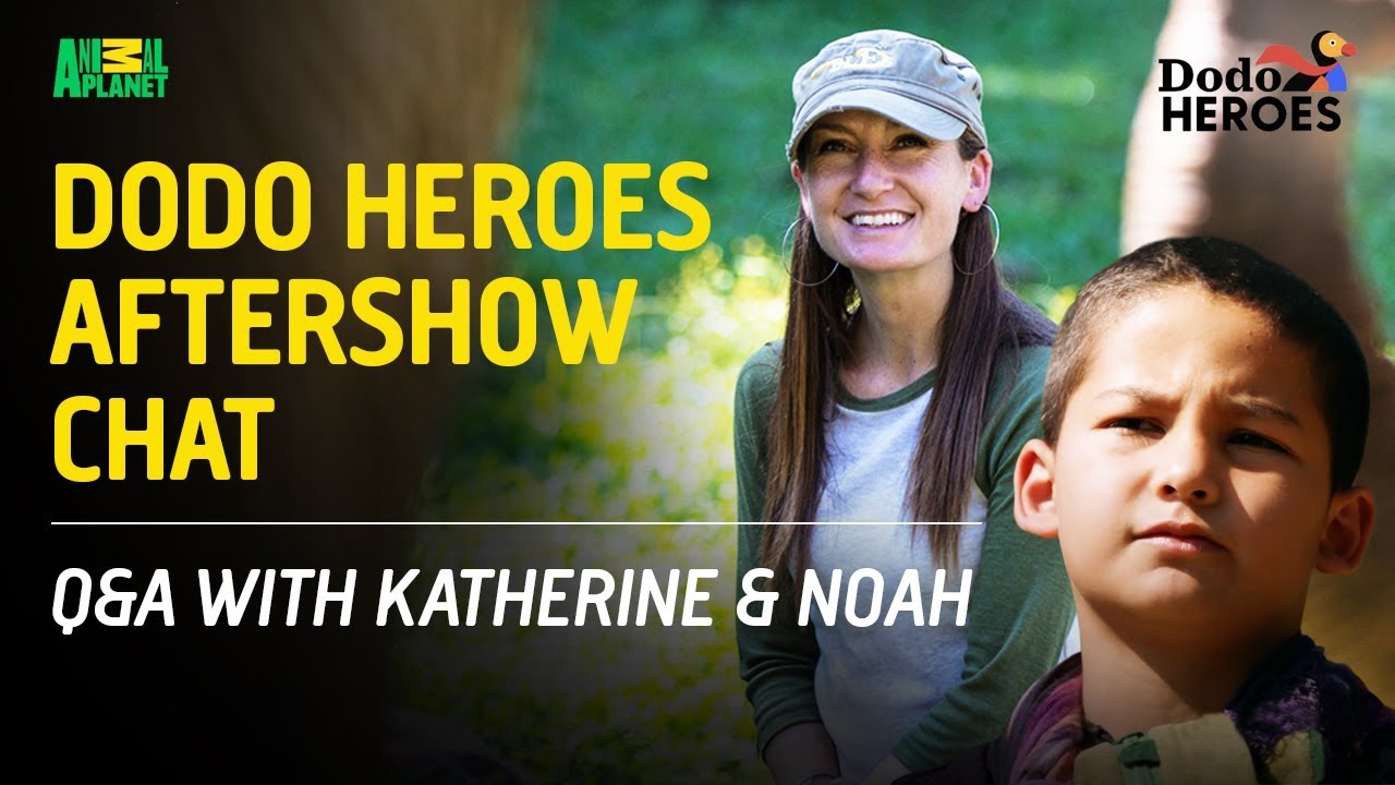 Dodo Heroes Aftershow Chat | Q&A With Katherine & Noah - YouTube