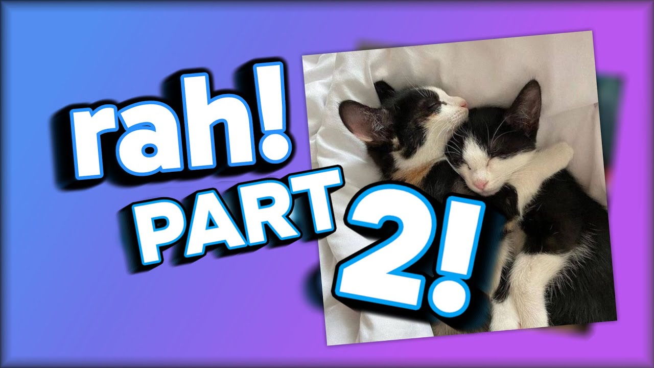 RAH #2 - YouTube