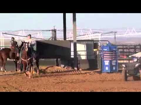 speedroping.com Speed Williams Team Roping Update - YouTube