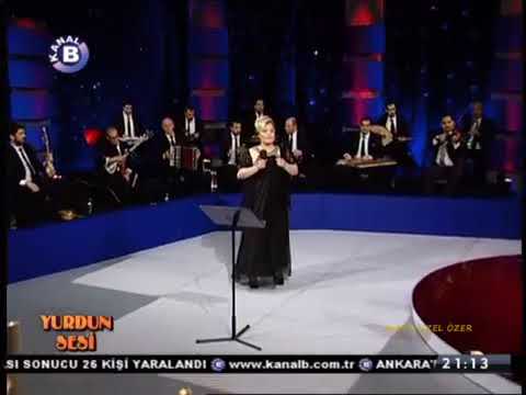 Bir Garip Yolcuyum Hayat Yolunda - Belgin Ahun