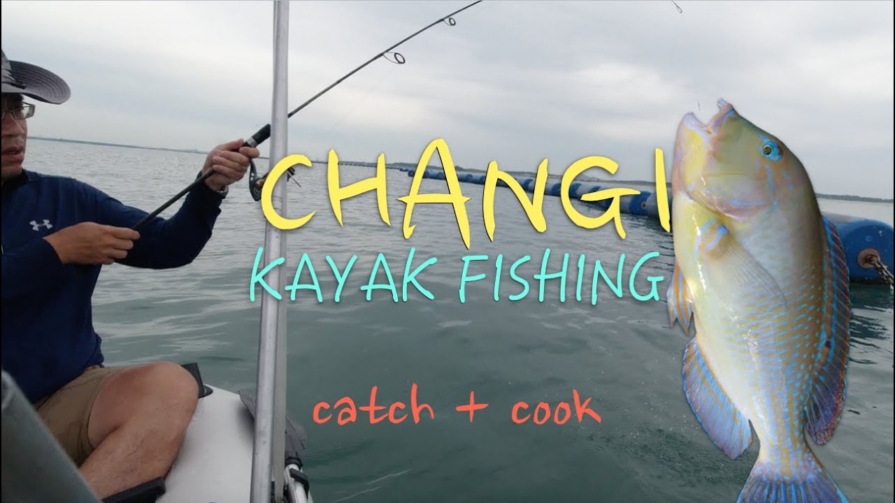 Changi Kayak Fishing: parrot fish catch and cook- Singapore kayak ...