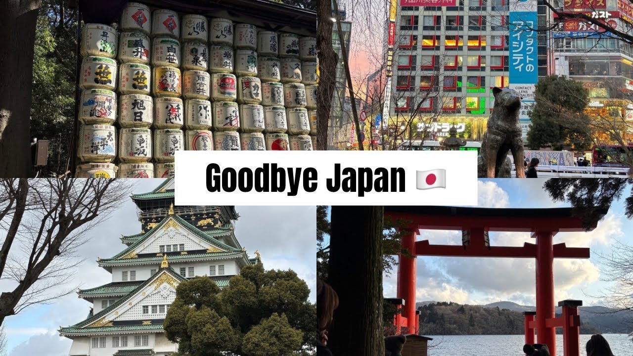 GOODBYE JAPAN | Travel home day - Tokyo to Dublin - YouTube