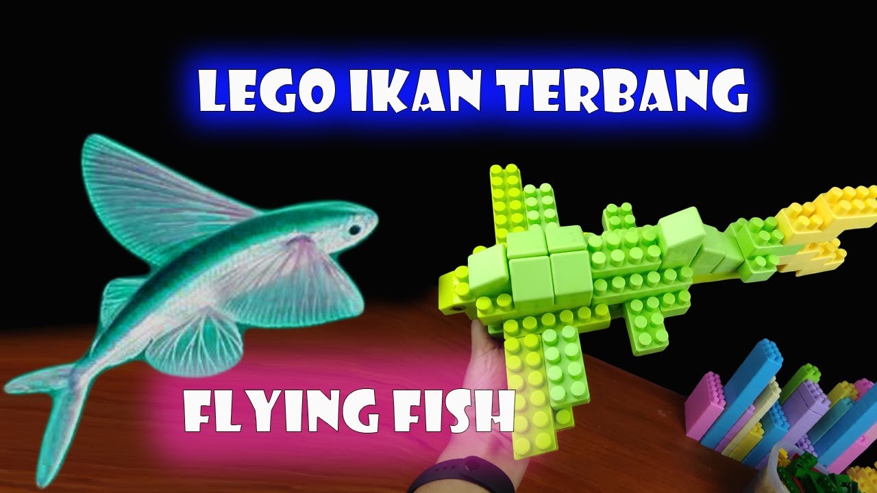 Cara Membuat Lego Ikan Terbang-Flying Fish | Blok Lego | Oyyan TV - YouTube