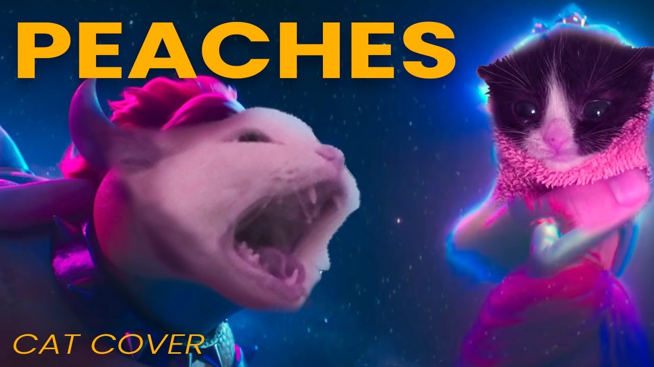 Peaches - Bowser (Meow Cover) Meowser Song Cat Version - YouTube
