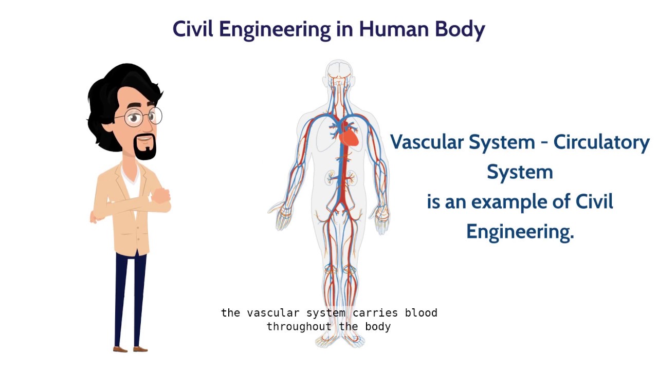 Human body and Engineering. The oldest Engineering Marvel. - YouTube