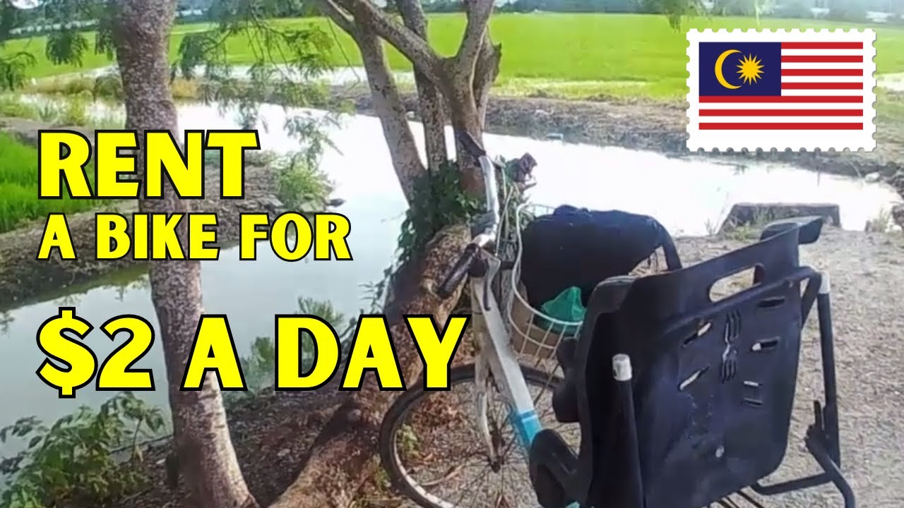 Balik Pulau Penang | Rice Fields | Rent a Bike for $2 a Day! - YouTube