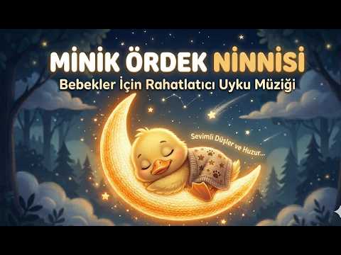 🦆 Minik Ördek Ninnisi (Duck Lullaby) | Uyutan Çocuk Şarkısı | Baby Sleep Music