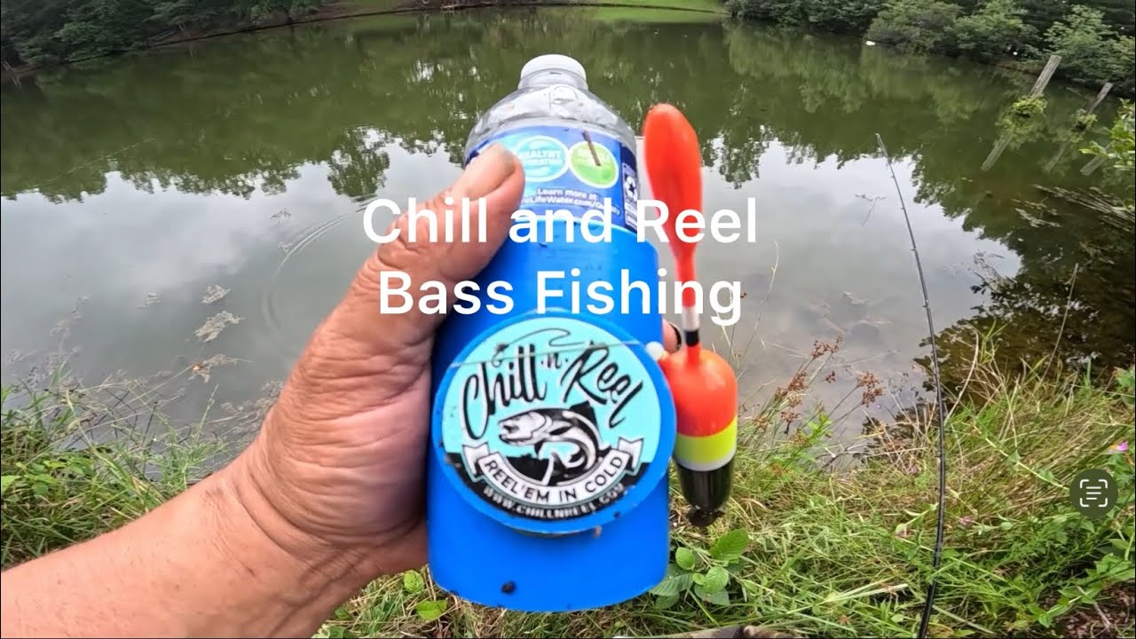 Chill n reel Bass Fishing #chillnreel #bassfishing - YouTube
