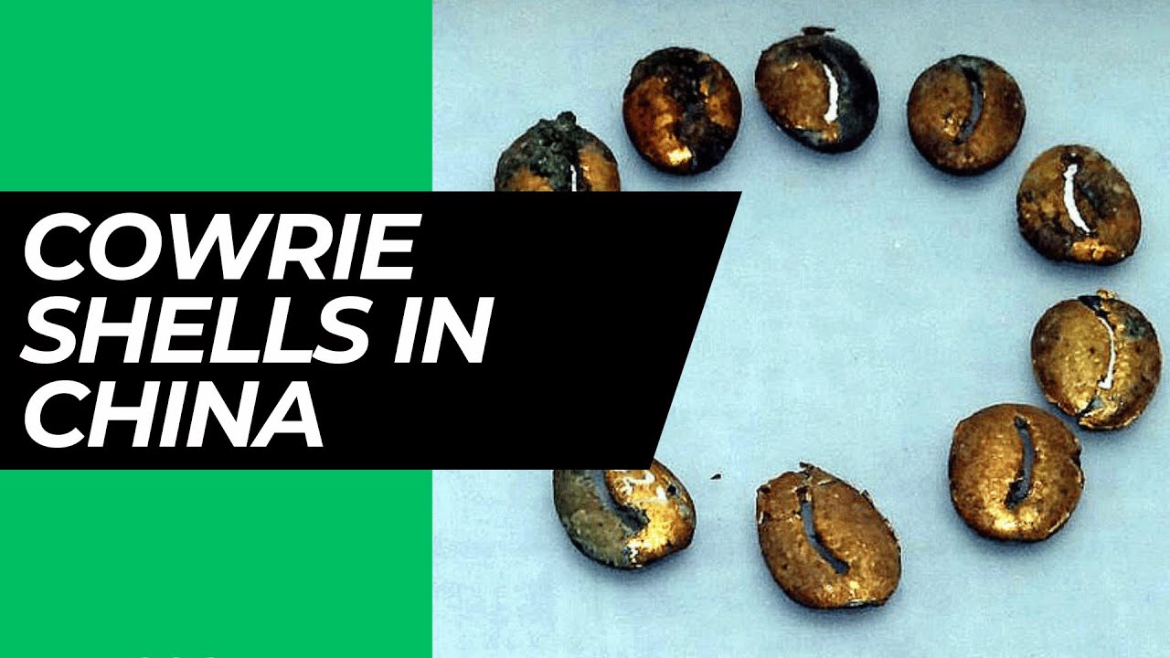 Cowrie Shells in Ancient China 1200 BC - YouTube